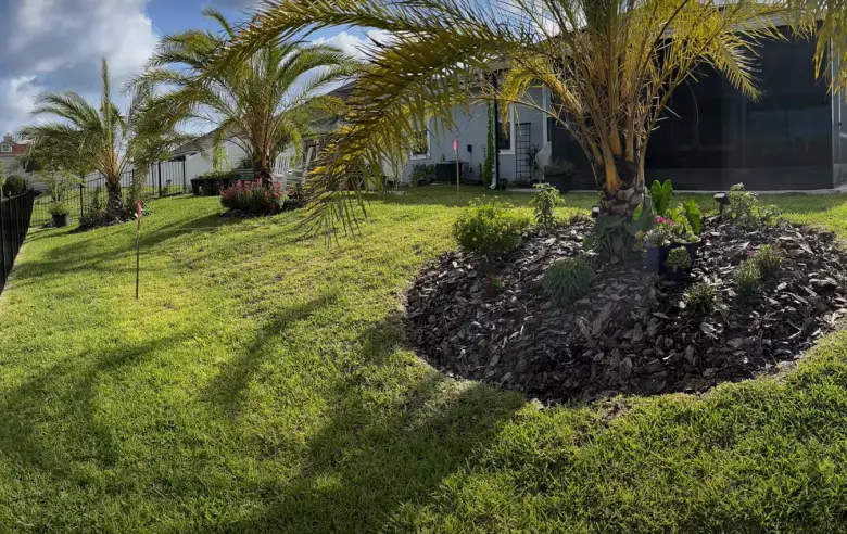 Landscaping Ideas for Sandy Soil - GardenProfy