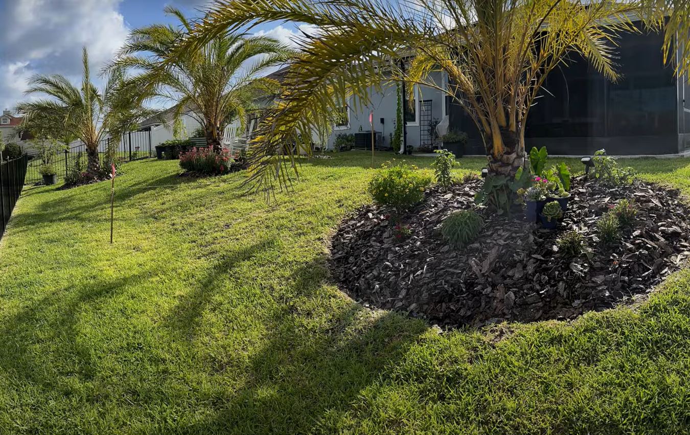 Landscaping Ideas for Sandy Soil - GardenProfy