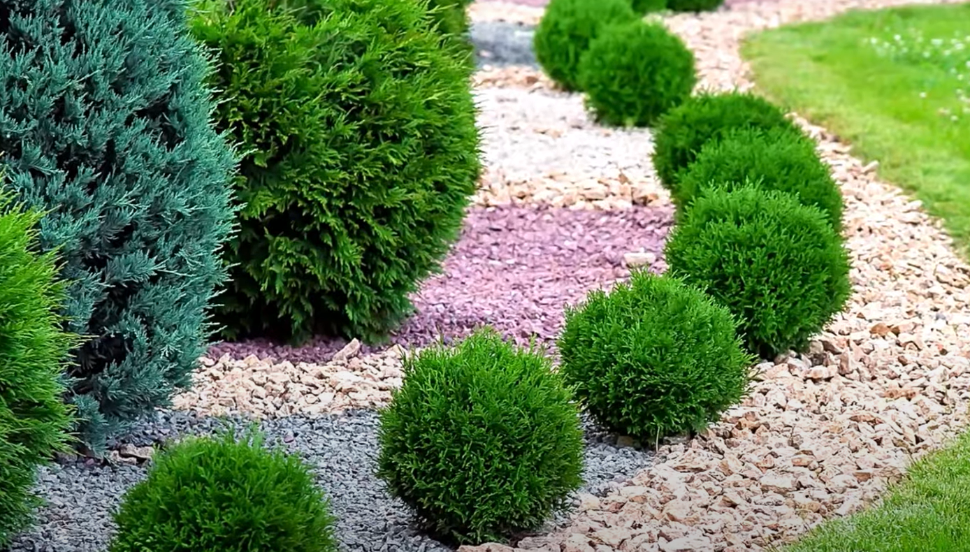 Landscaping Ideas for Sandy Soil - GardenProfy