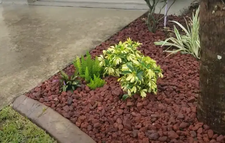 Lava Rock Landscaping Ideas - GardenProfy