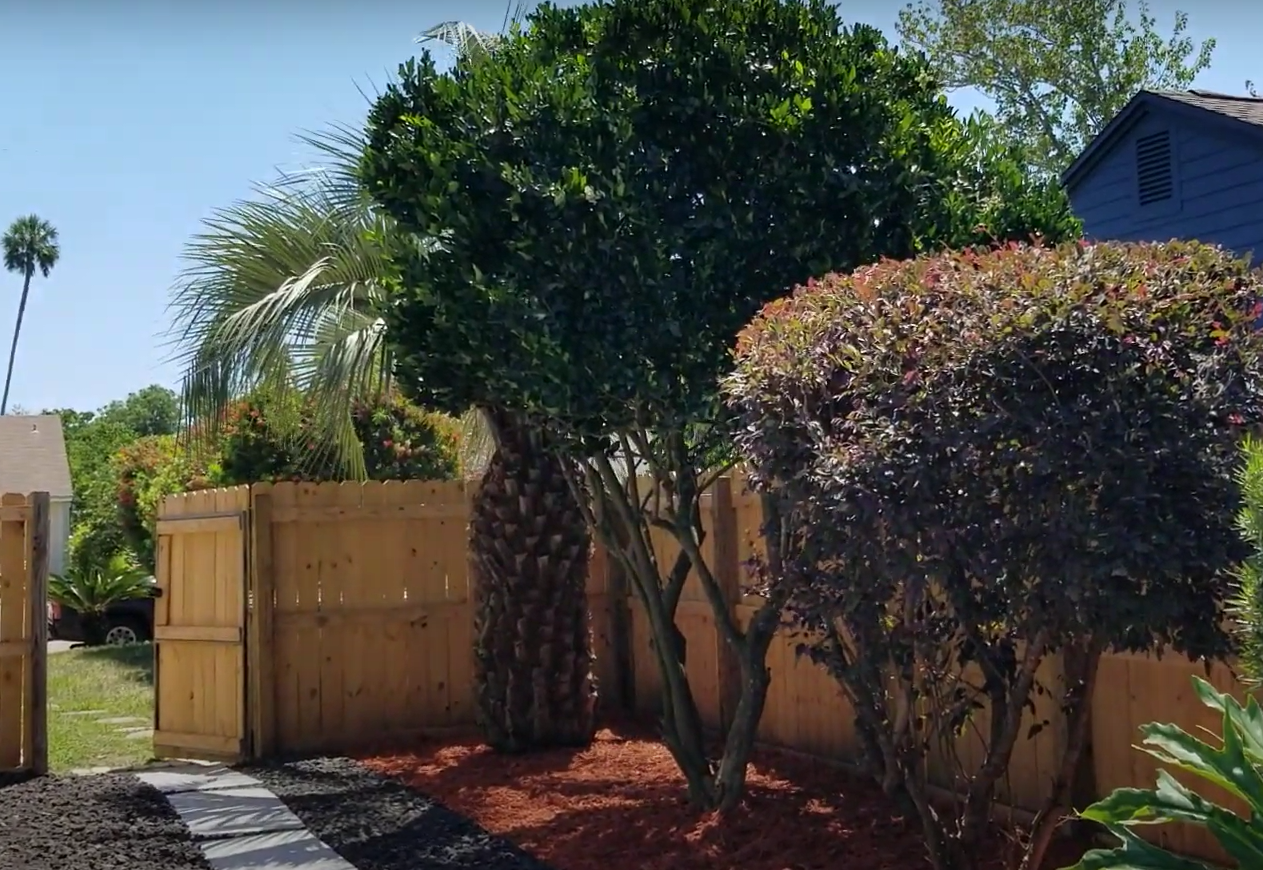 Lava Rock Landscaping Ideas - GardenProfy