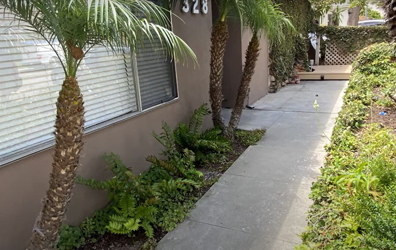 Palm Tree Landscaping Ideas - GardenProfy