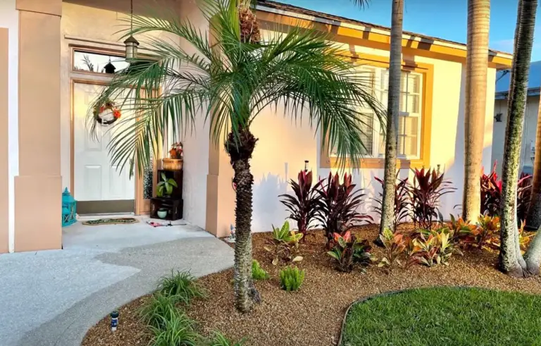 Palm Tree Landscaping Ideas - GardenProfy