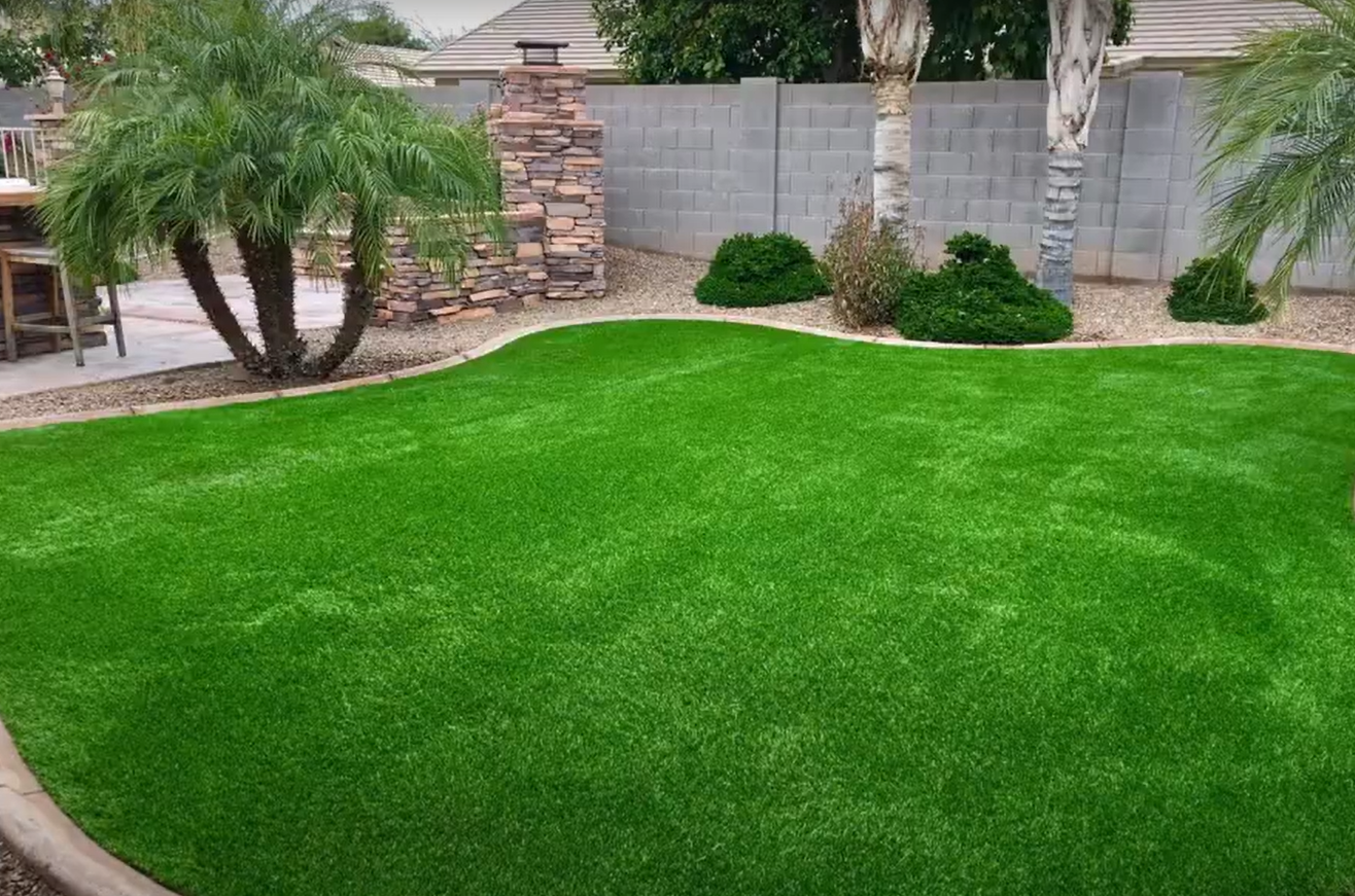 Palm Tree Landscaping Ideas - GardenProfy