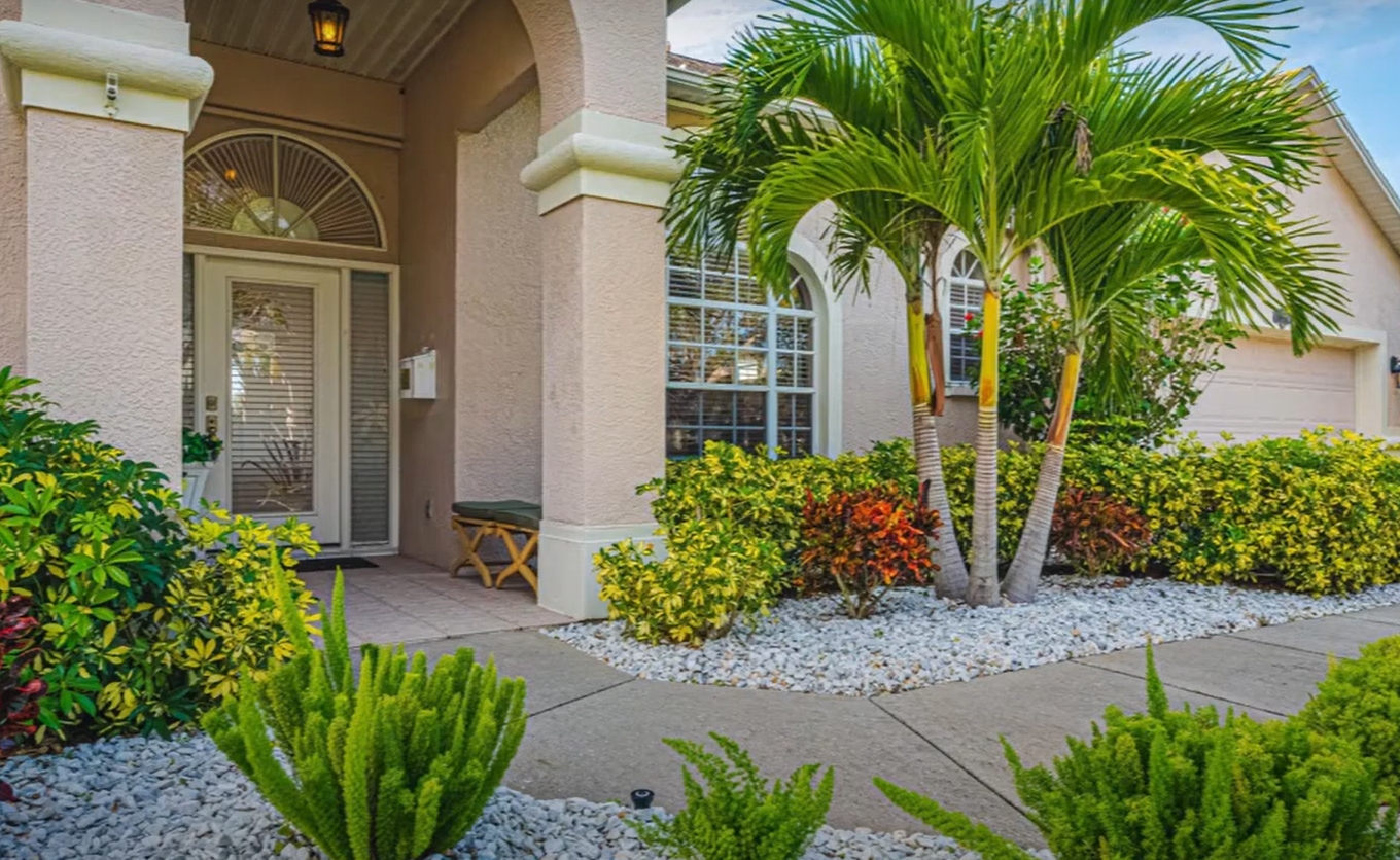 Palm Tree Landscaping Ideas - GardenProfy