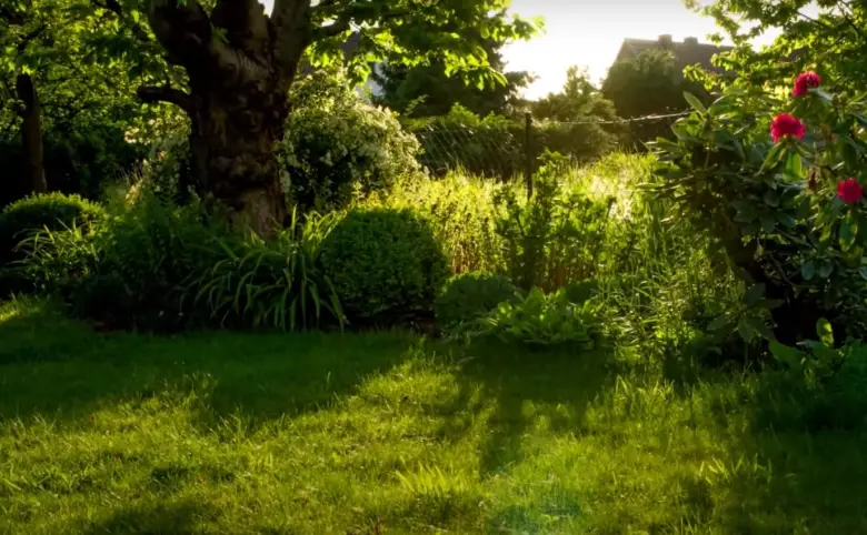 Property Line Landscaping Ideas - GardenProfy