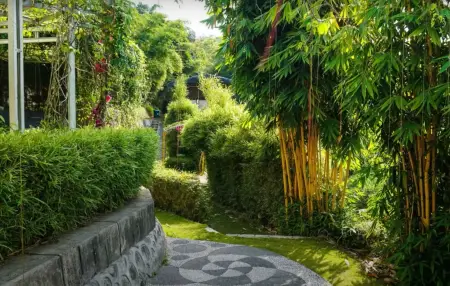 Property Line Landscaping Ideas - GardenProfy