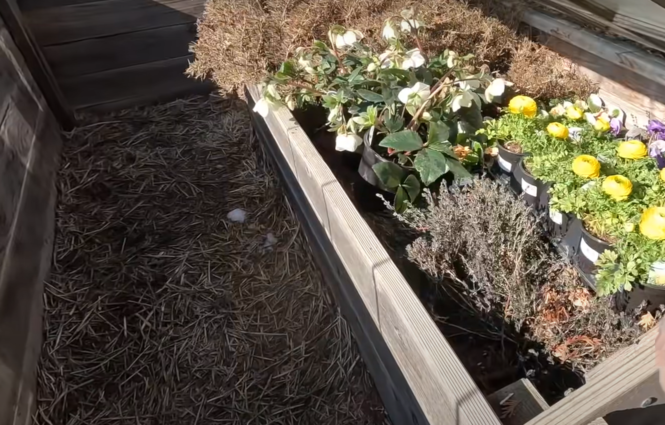 Property Line Landscaping Ideas - GardenProfy