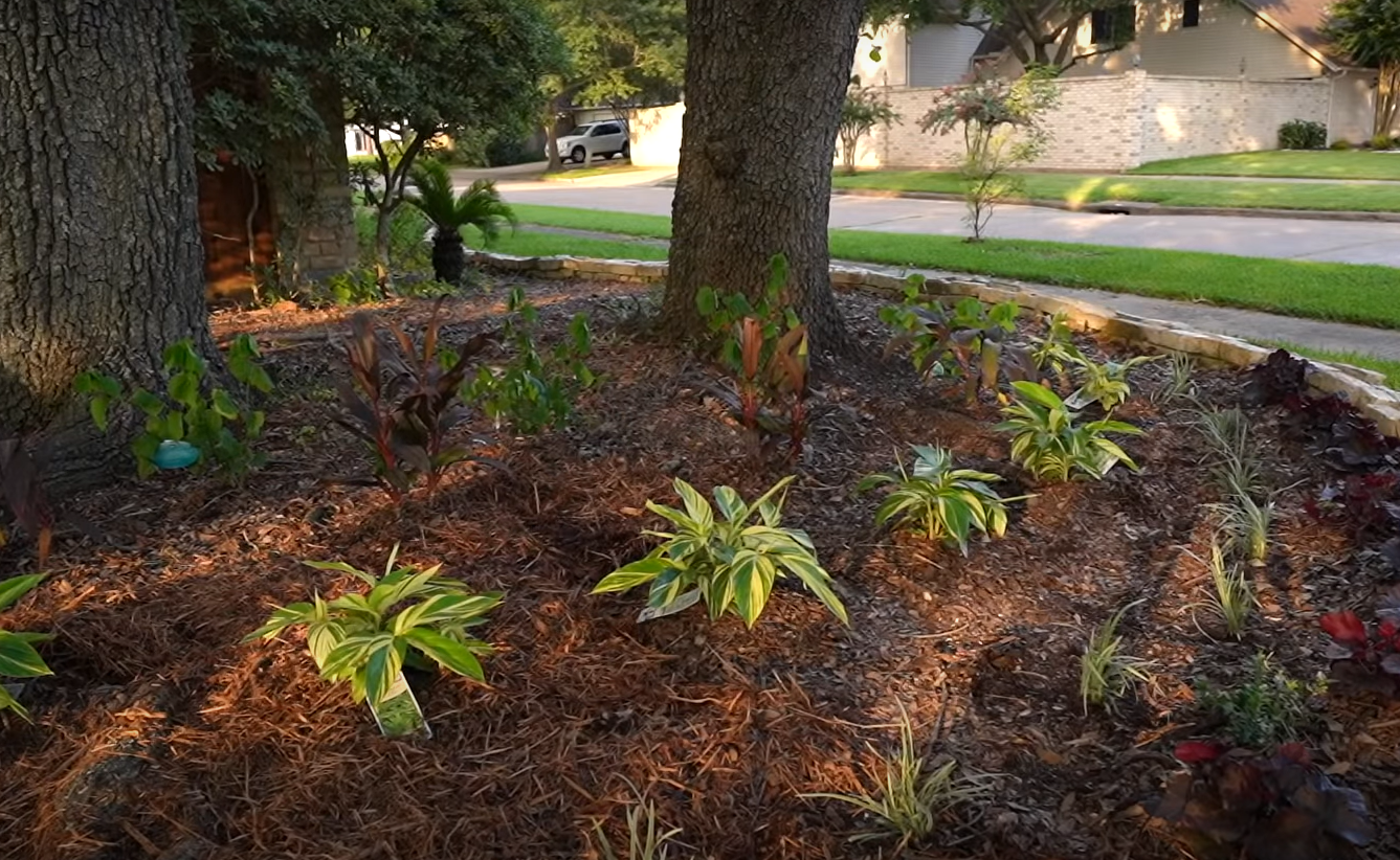 Texas Landscaping Ideas - GardenProfy