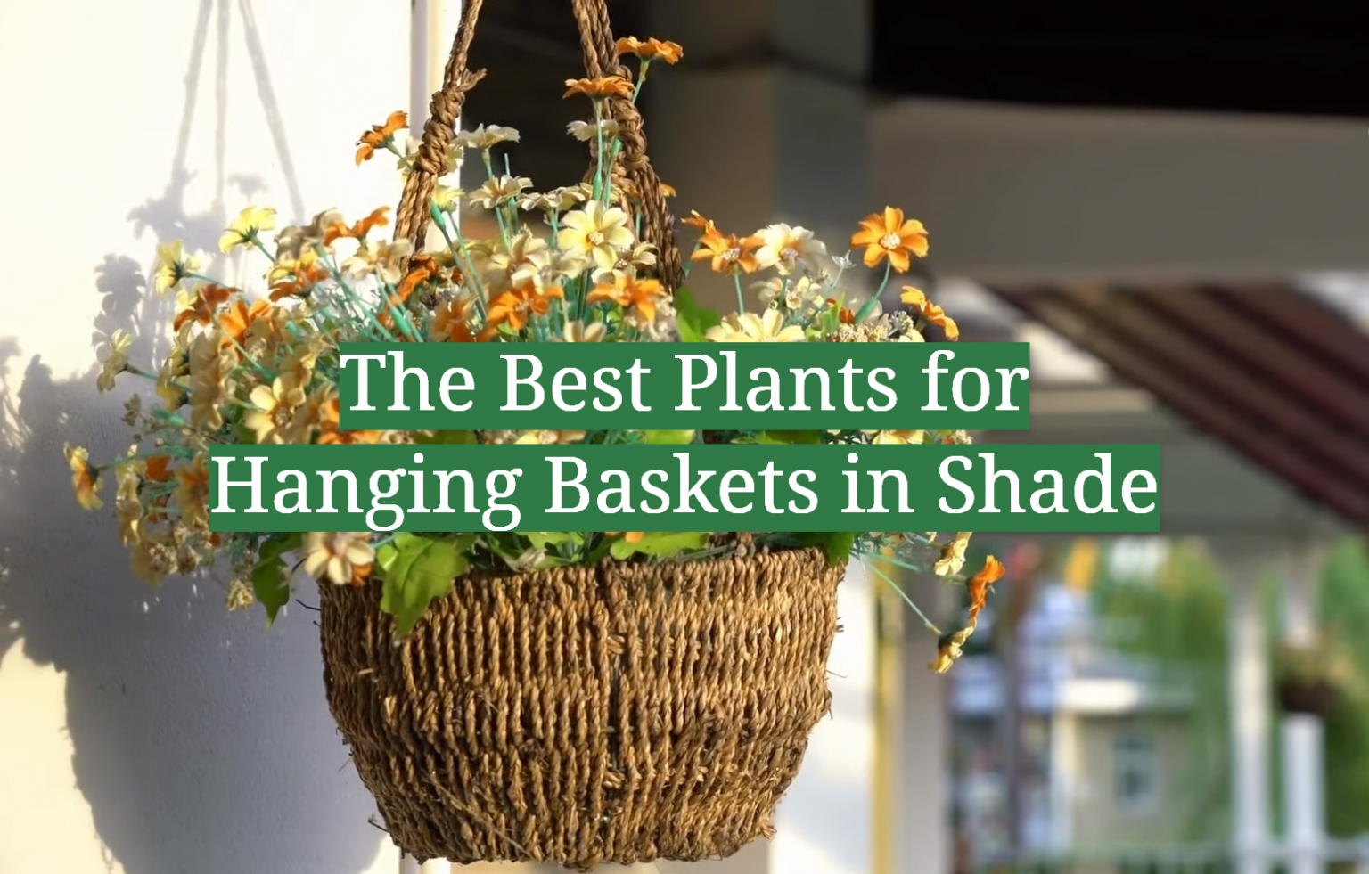 The Best Plants for Hanging Baskets in Shade - GardenProfy